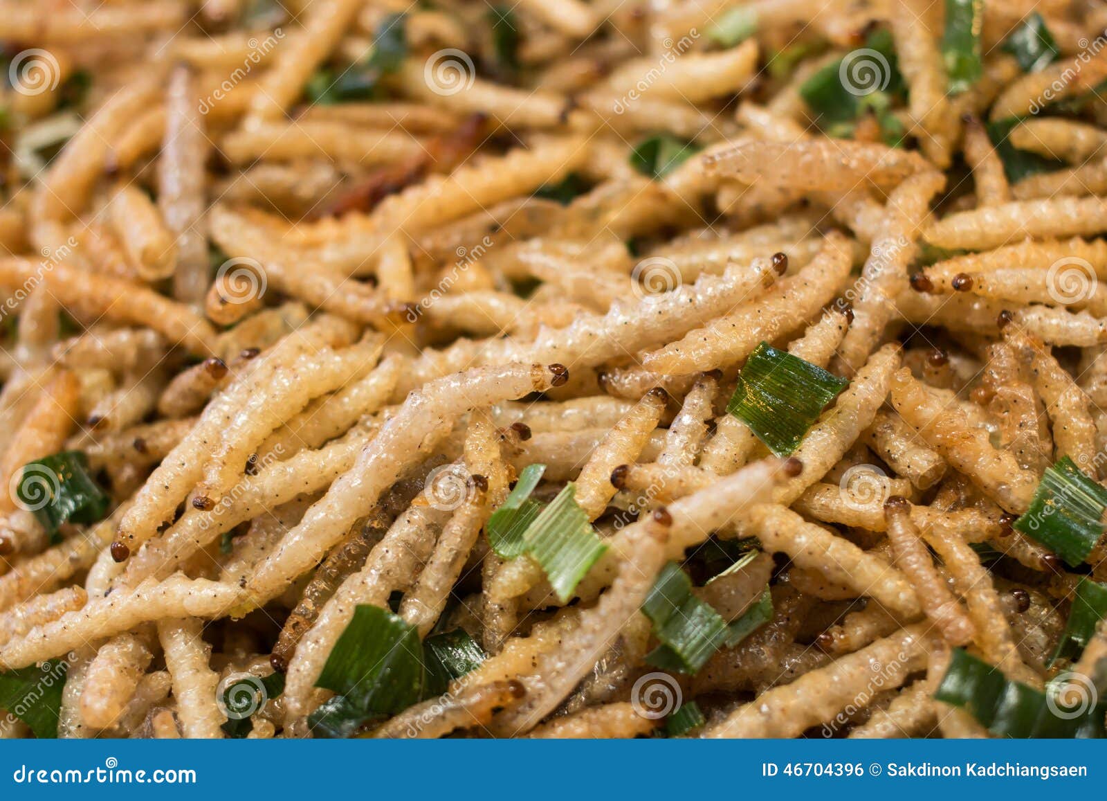 Fried bamboo larvae stock photo. Image of pest, culture - 46704396