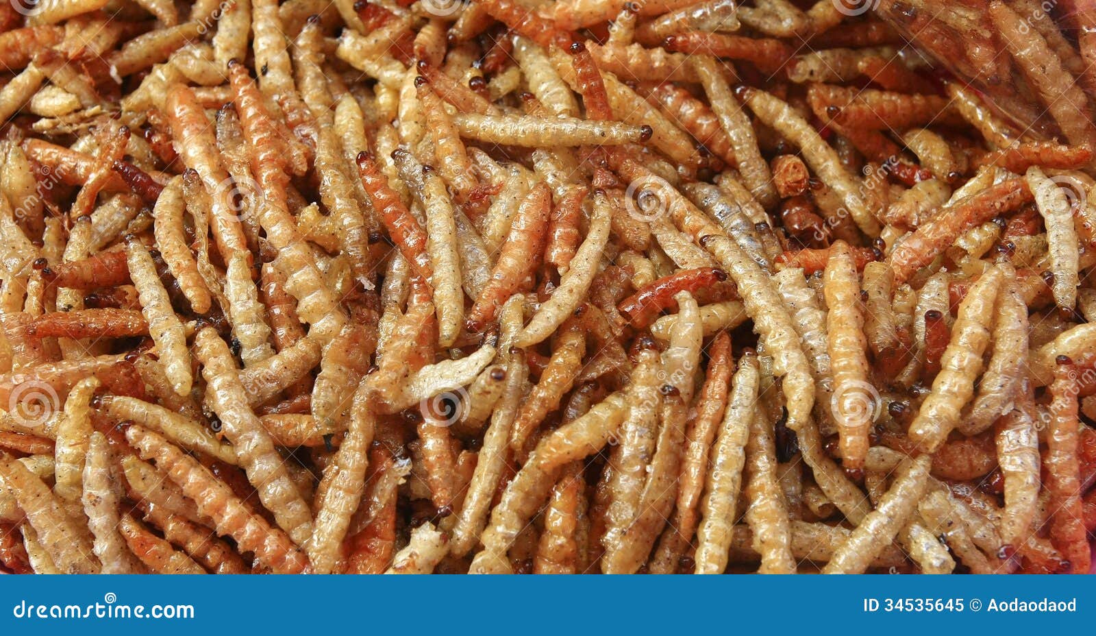 Fried Bamboo Larvae ,snack Royalty-Free Stock Photography ...