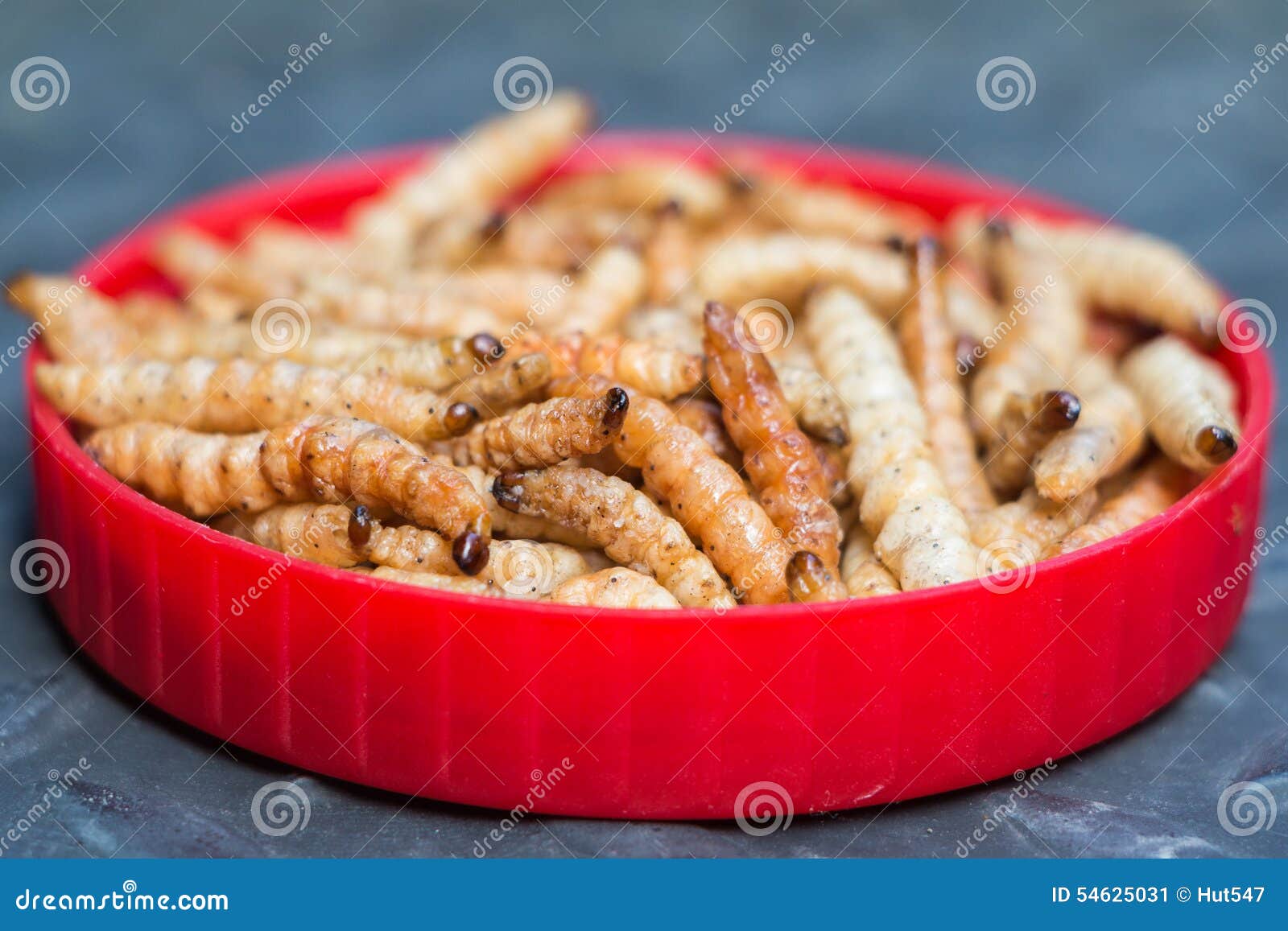 Fried Bamboo Larvae ,snack Royalty-Free Stock Photography ...