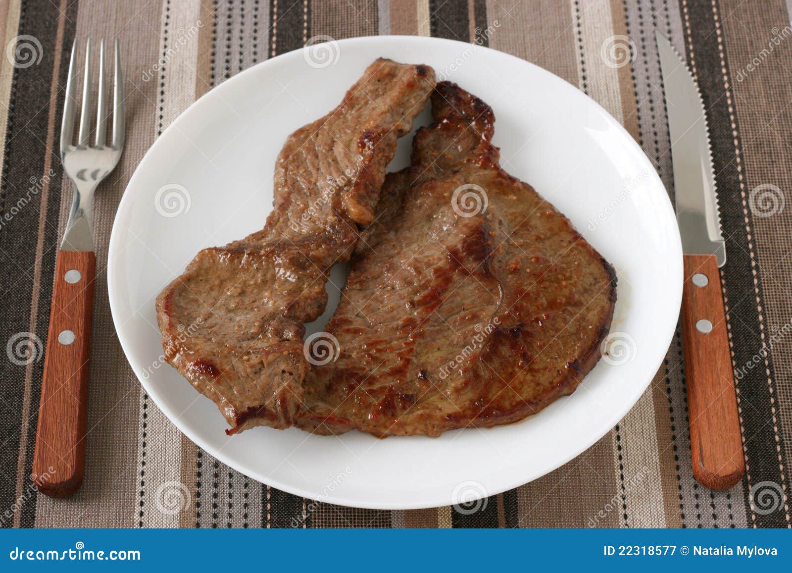 Fried beef on the plate stock image. Image of dinner - 22318577