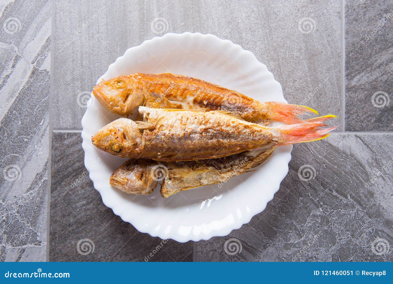 Fried bisugo stock image. Image of prepared, meal, cuisine - 121460051