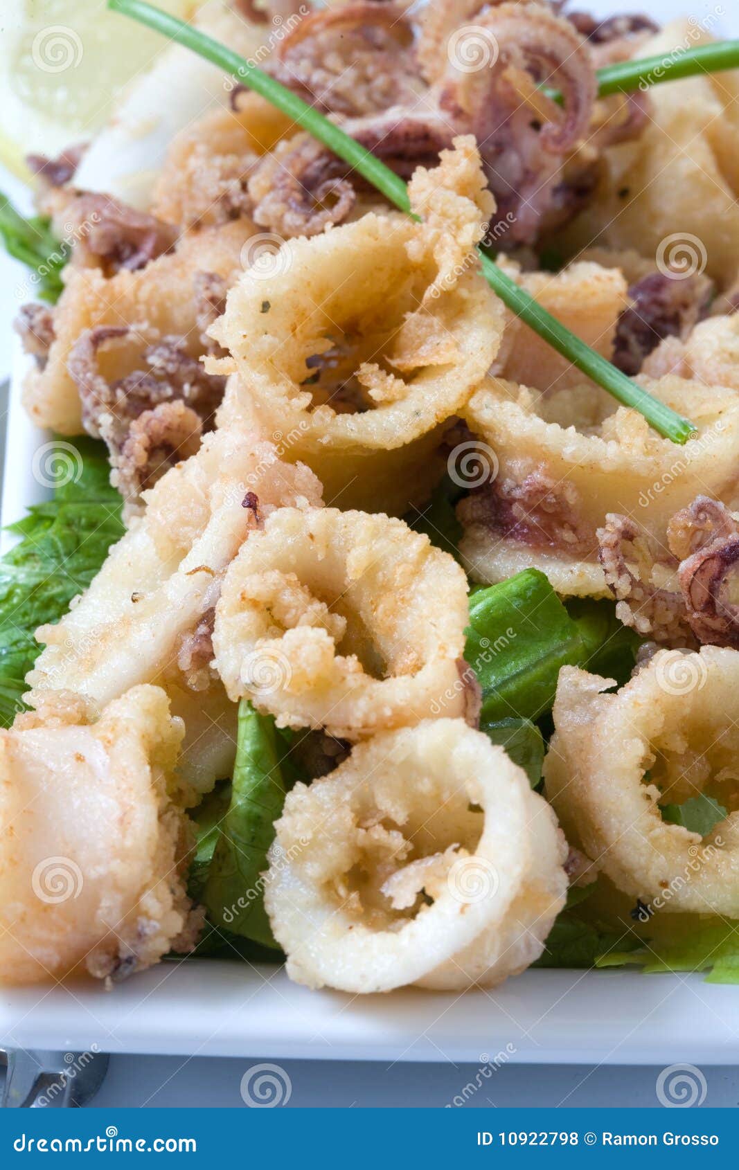 Fried calamari stock photo. Image of fried, crumbed, leaves - 10922798
