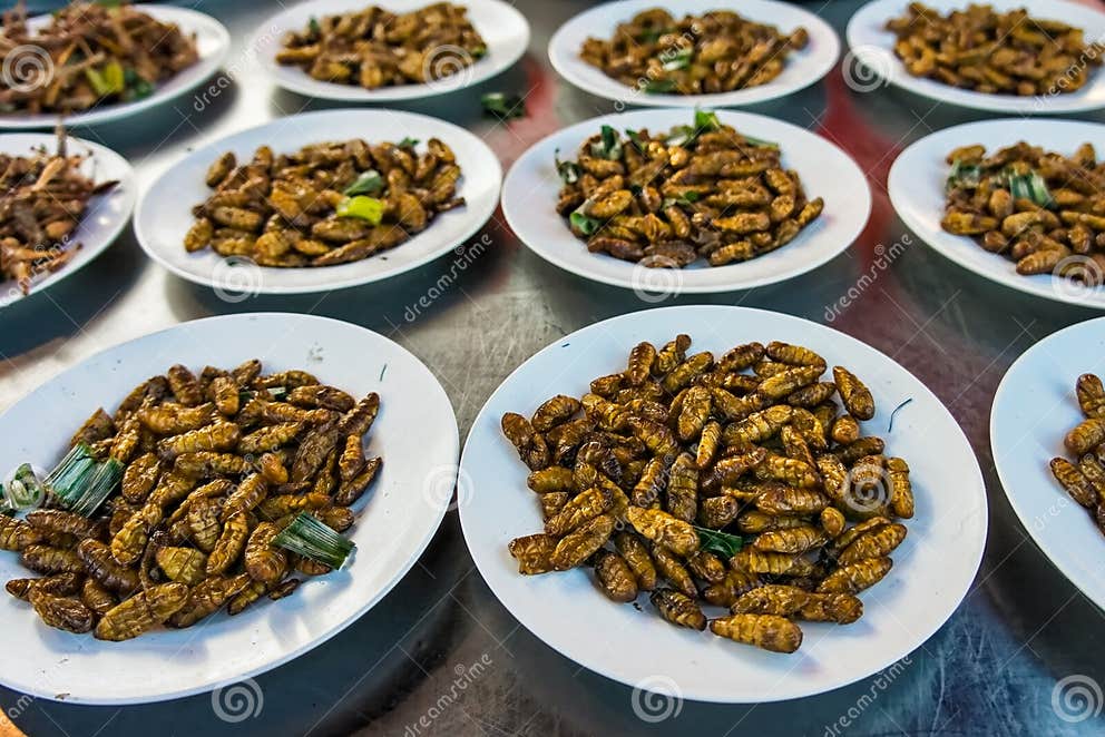 Fried caterpillars stock photo. Image of insect, fried - 30427872