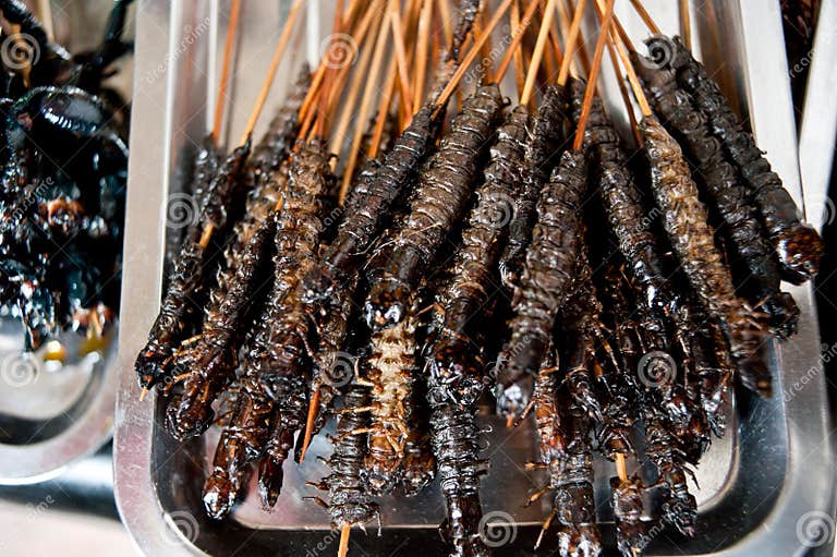 Fried Centipede, Chinese Cuisine Stock Image - Image of string ...