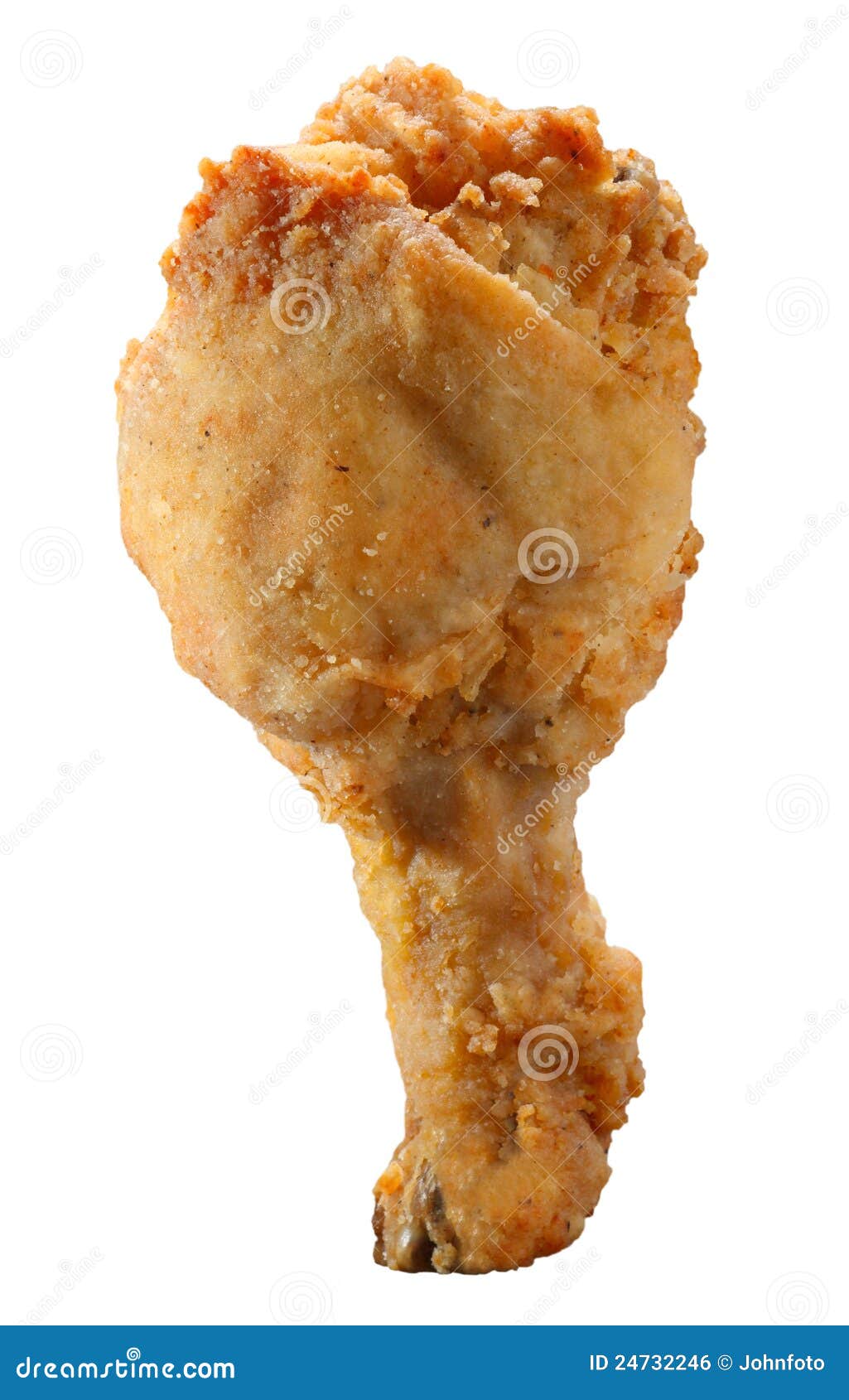 Fried chicken leg stock photo. Image of appetizing, meal - 24732246