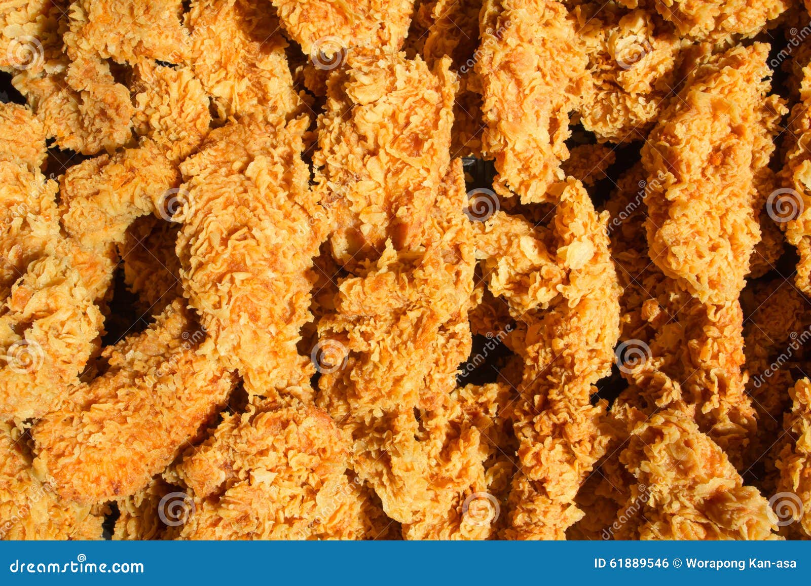 Chicken Hen, Many Angles And View Portrait Side Back Head Shot Isolated ...