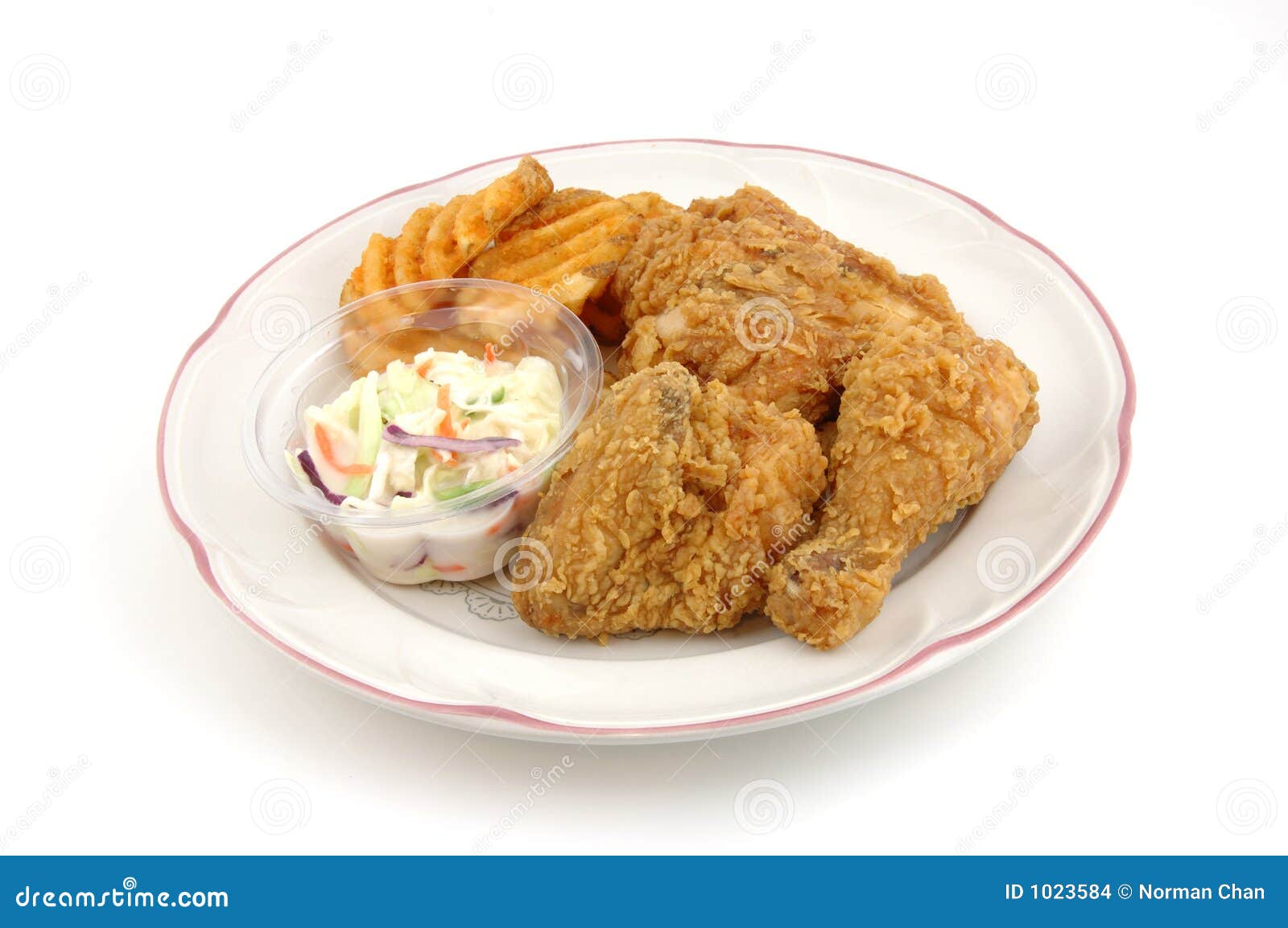 Fried chicken plate stock photo. Image of wing, coleslaw - 1023584