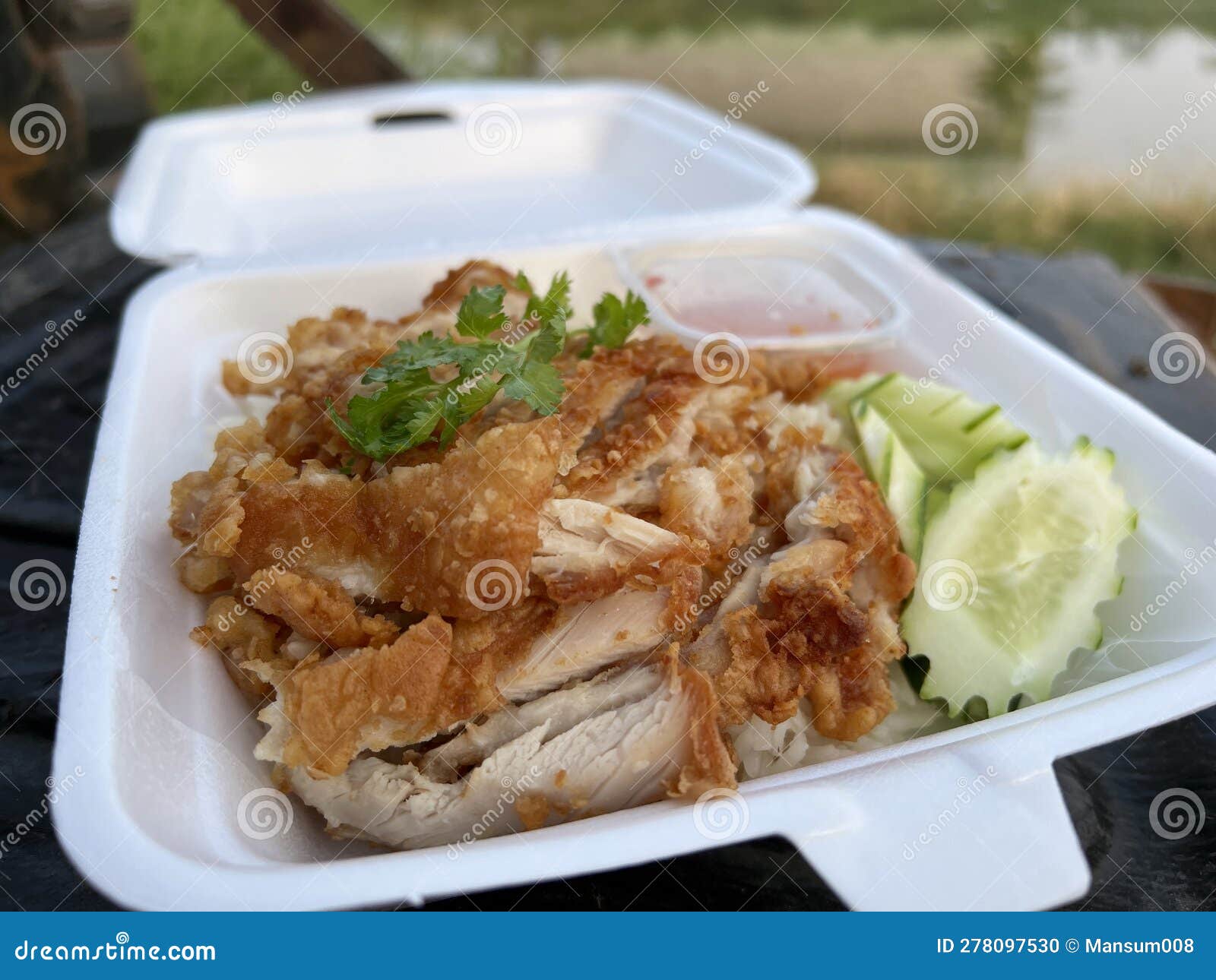 Fried Chicken with Rice in Foam Box on Wood Background Stock Photo ...