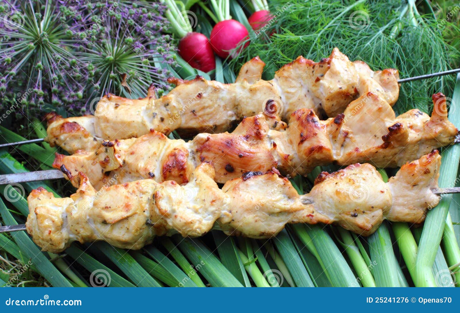Fried chicken shashlik stock photo. Image of picnic, roasted - 25241276