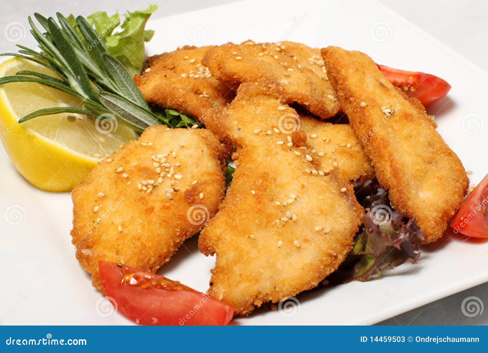 Fried chicken slice stock image. Image of macro, square - 14459503