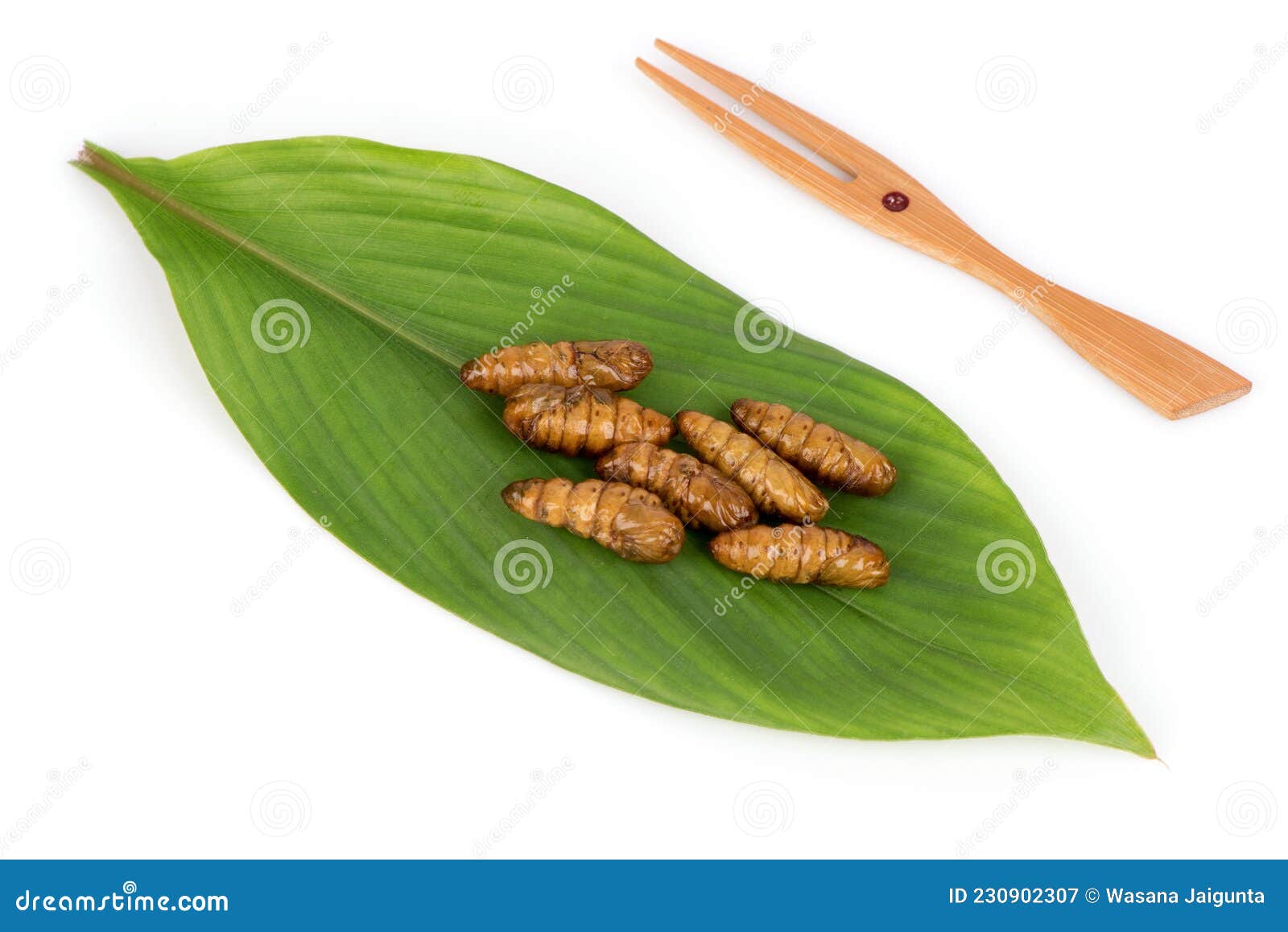 Fried Chrysalis Isolated on White Background.top View,flat Lay Stock ...
