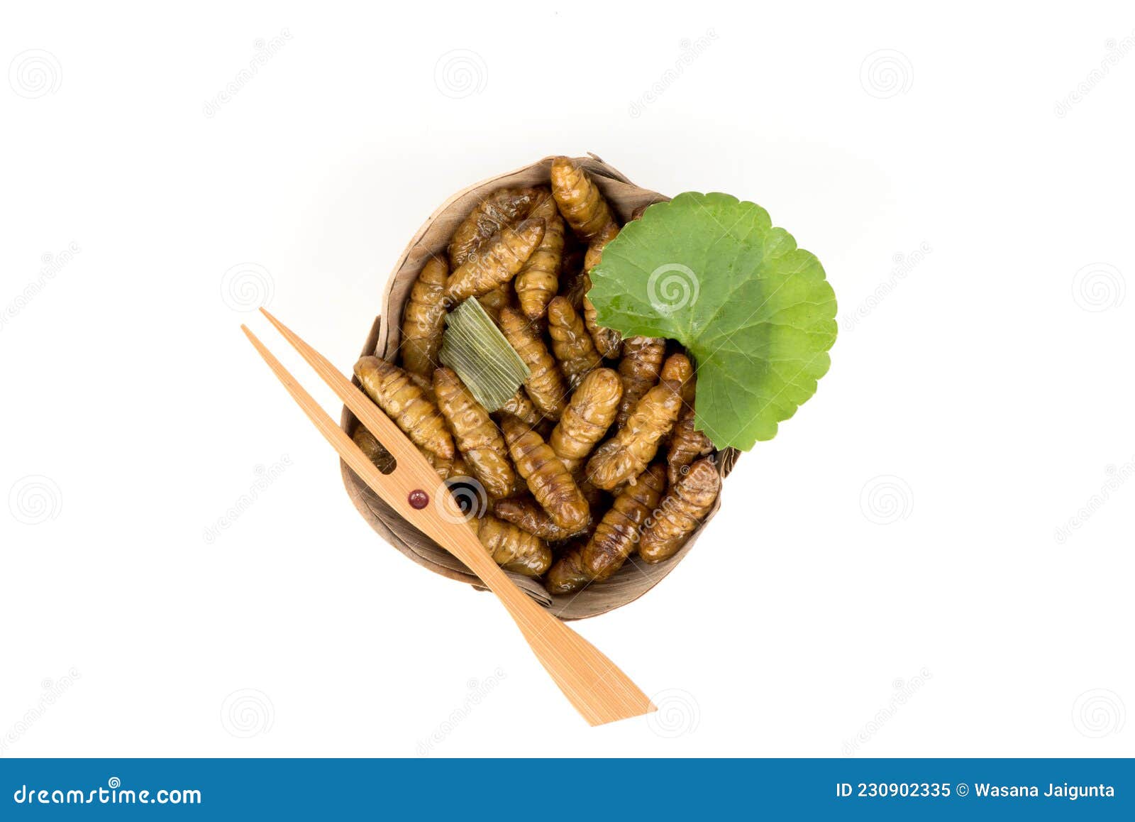 Fried Chrysalis Isolated on White Background.top View,flat Lay Stock ...