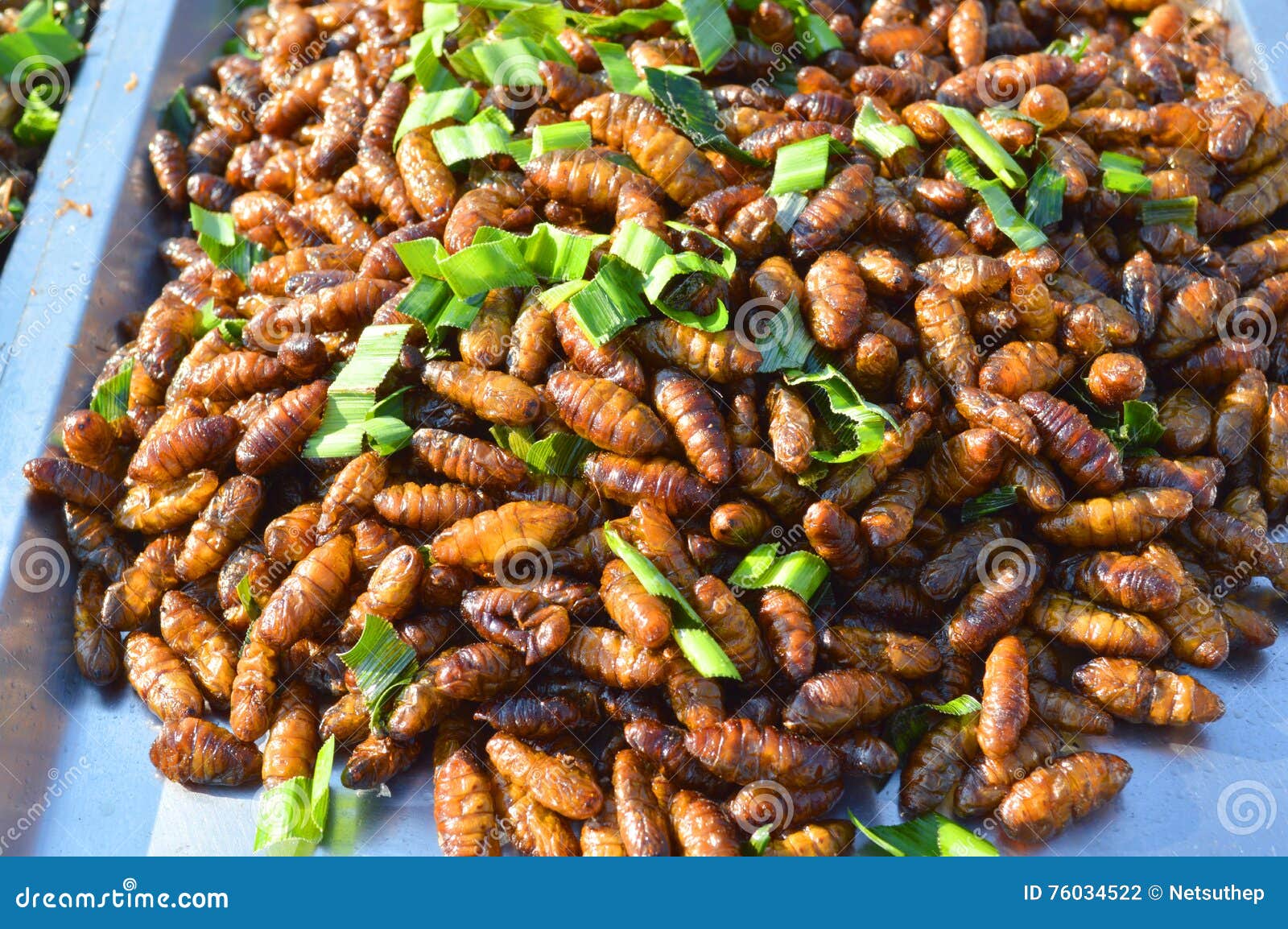 Fried chrysalis pupa stock photo. Image of asian, decorated - 76034522