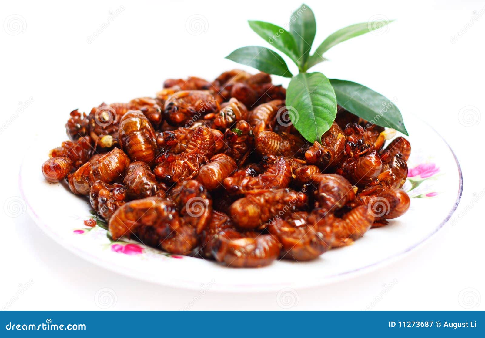 Fried cicada stock image. Image of cooking, delicious - 11273687