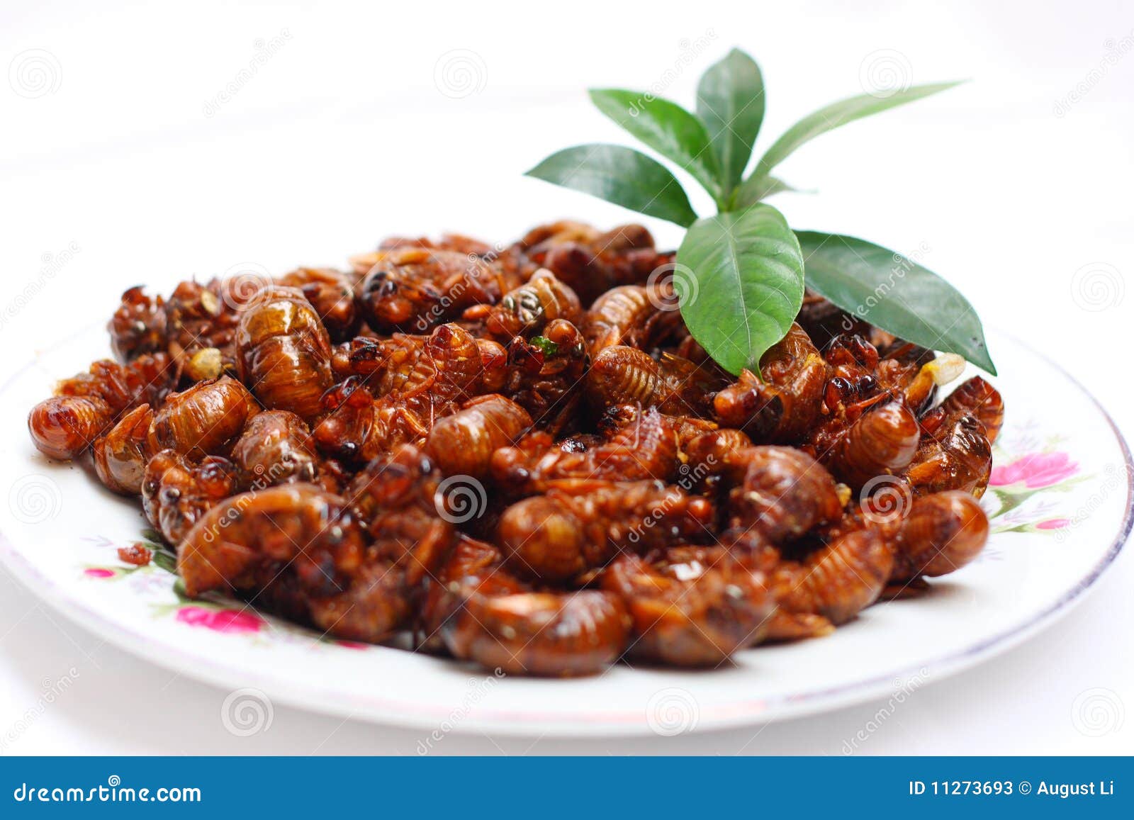 Fried cicada stock image. Image of delicious, meal, exotic - 11273693