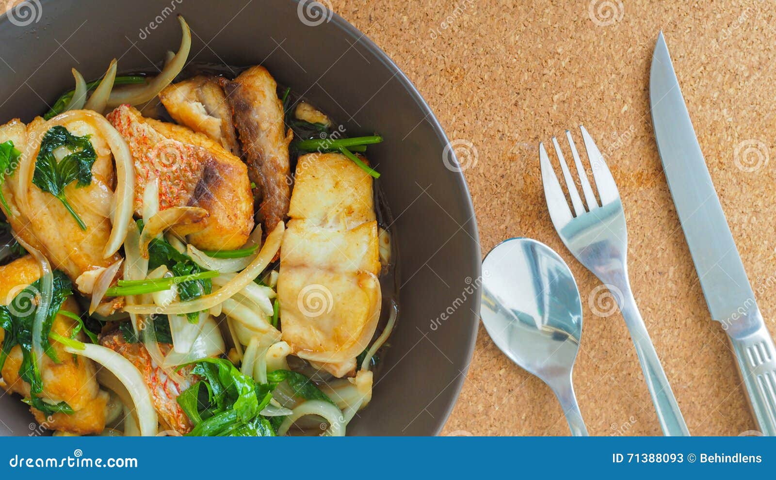 Fried Coal Fish Fillet with Onion. Stock Image - Image of fillet ...
