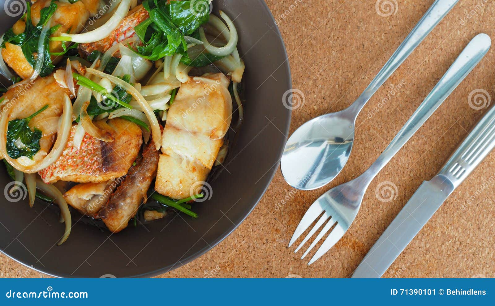 Fried Coal Fish Fillet with Onion. Stock Image - Image of foam, green ...