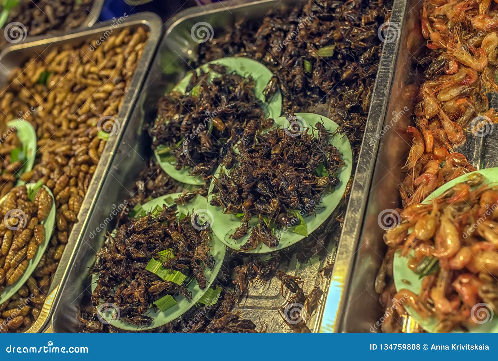 Fried cockroaches stock photo. Image of edible, larva - 134759808