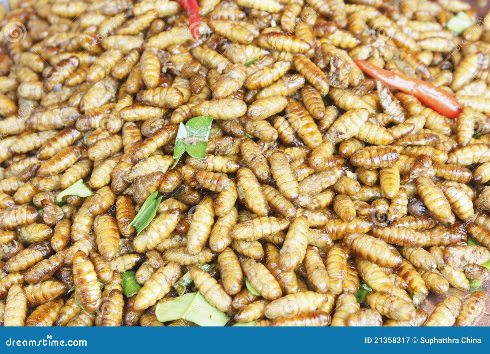 Fried Cocoons stock image. Image of meal, deep, gourmet - 21358317
