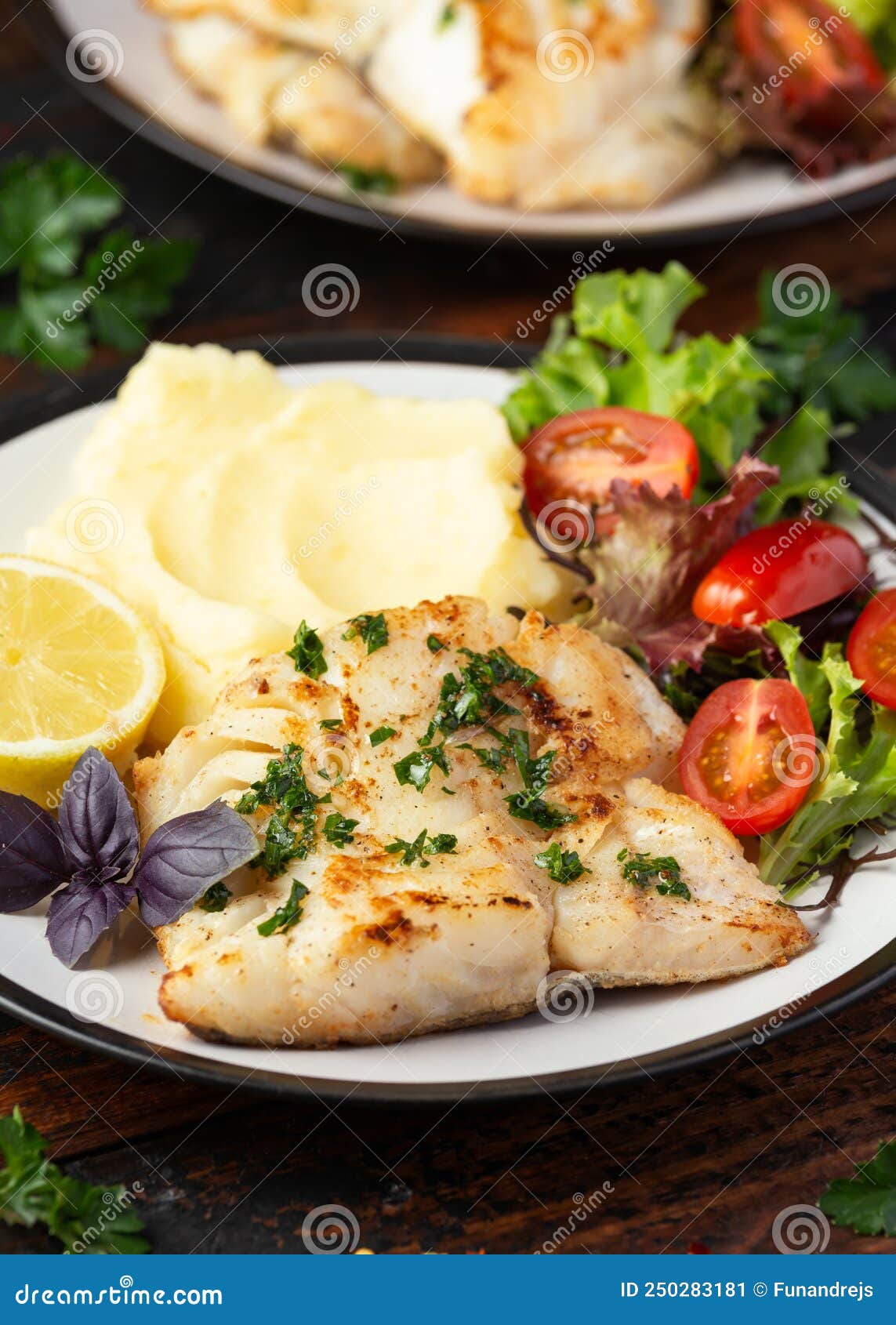 Fried Cod Loin Fillet with Mashed Potato and Vegetable Salad Served ...