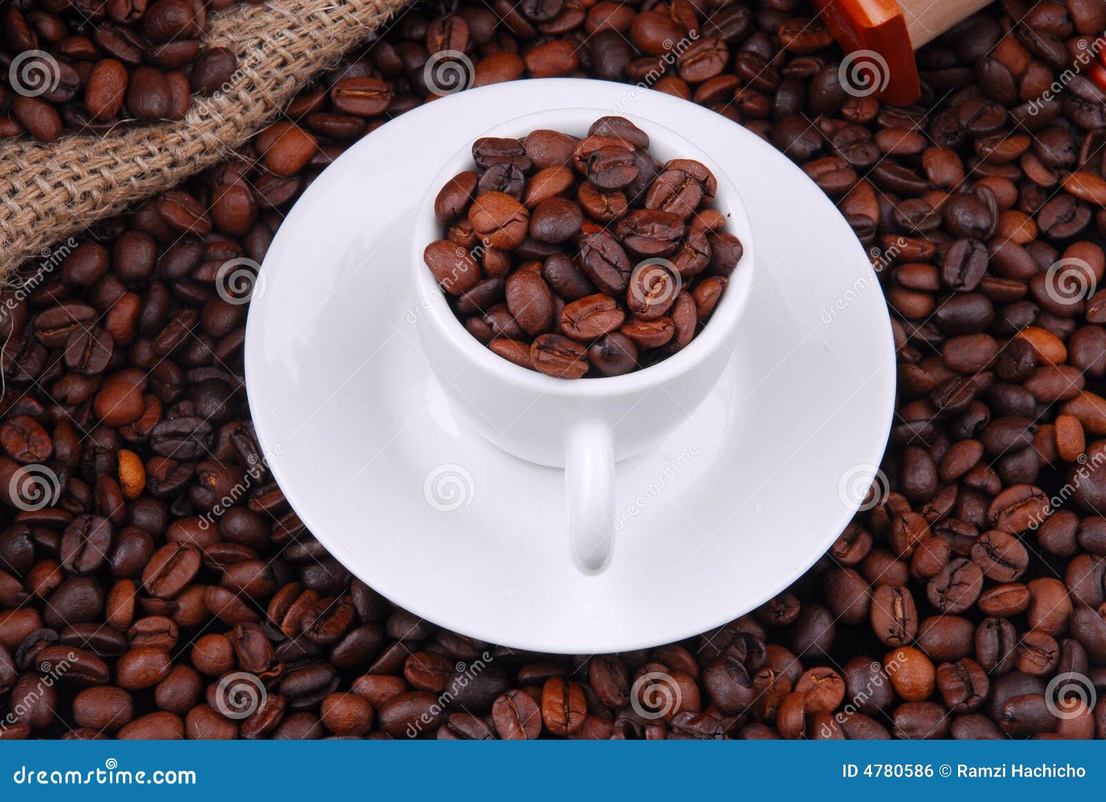 Fried coffee beans stock photo. Image of food, cappuccino - 4780586