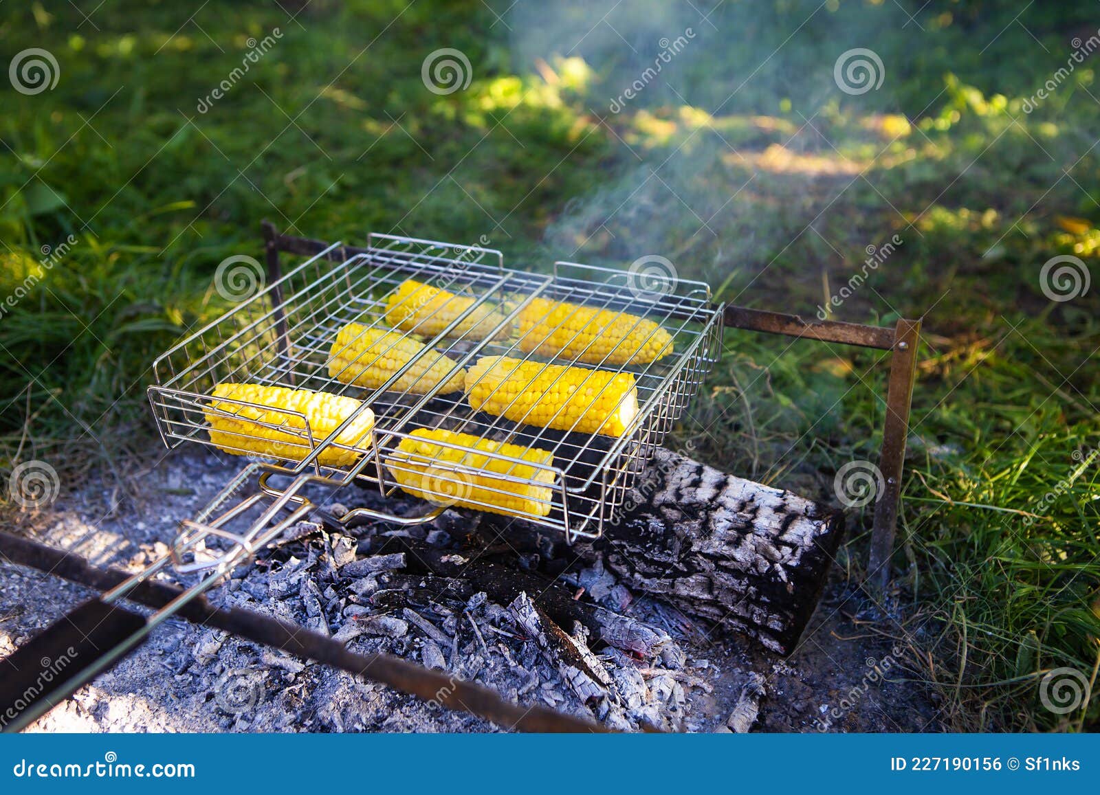 Fried Corncobs Of Yellow Juicy Corn Cooked On A Wire Rack. Outdoor ...