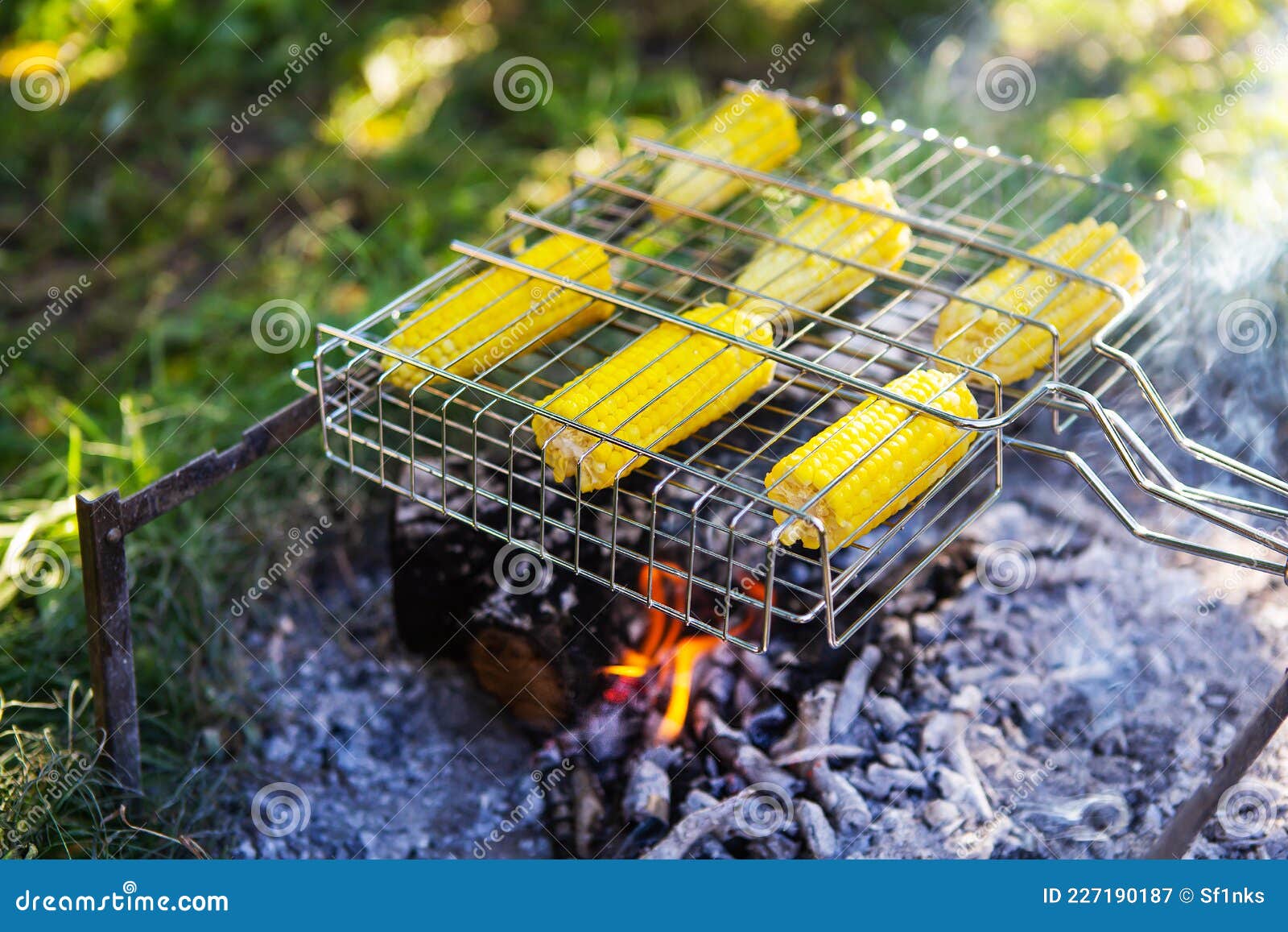 Fried Corncobs Of Yellow Juicy Corn Cooked On A Wire Rack. Outdoor ...