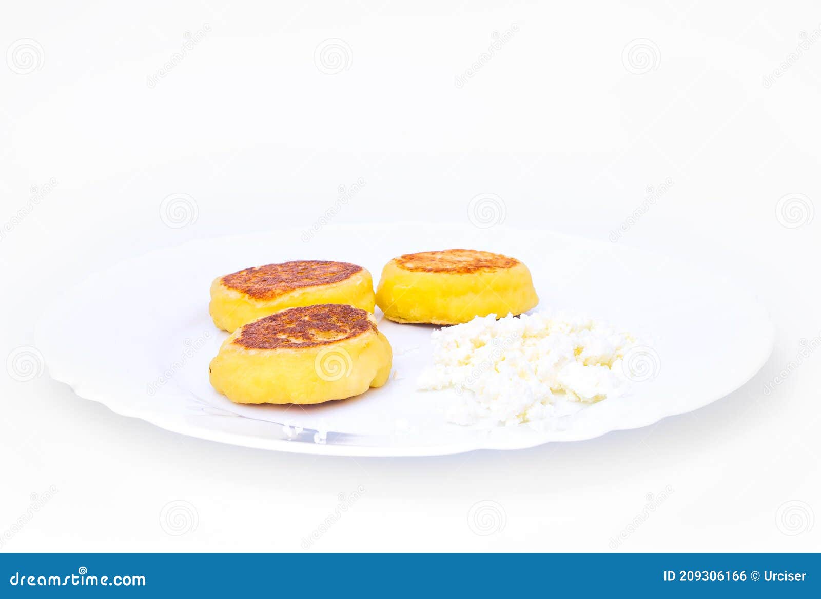 Fried Cottage Cheese on a Plate Stock Photo - Image of eating, healthy ...