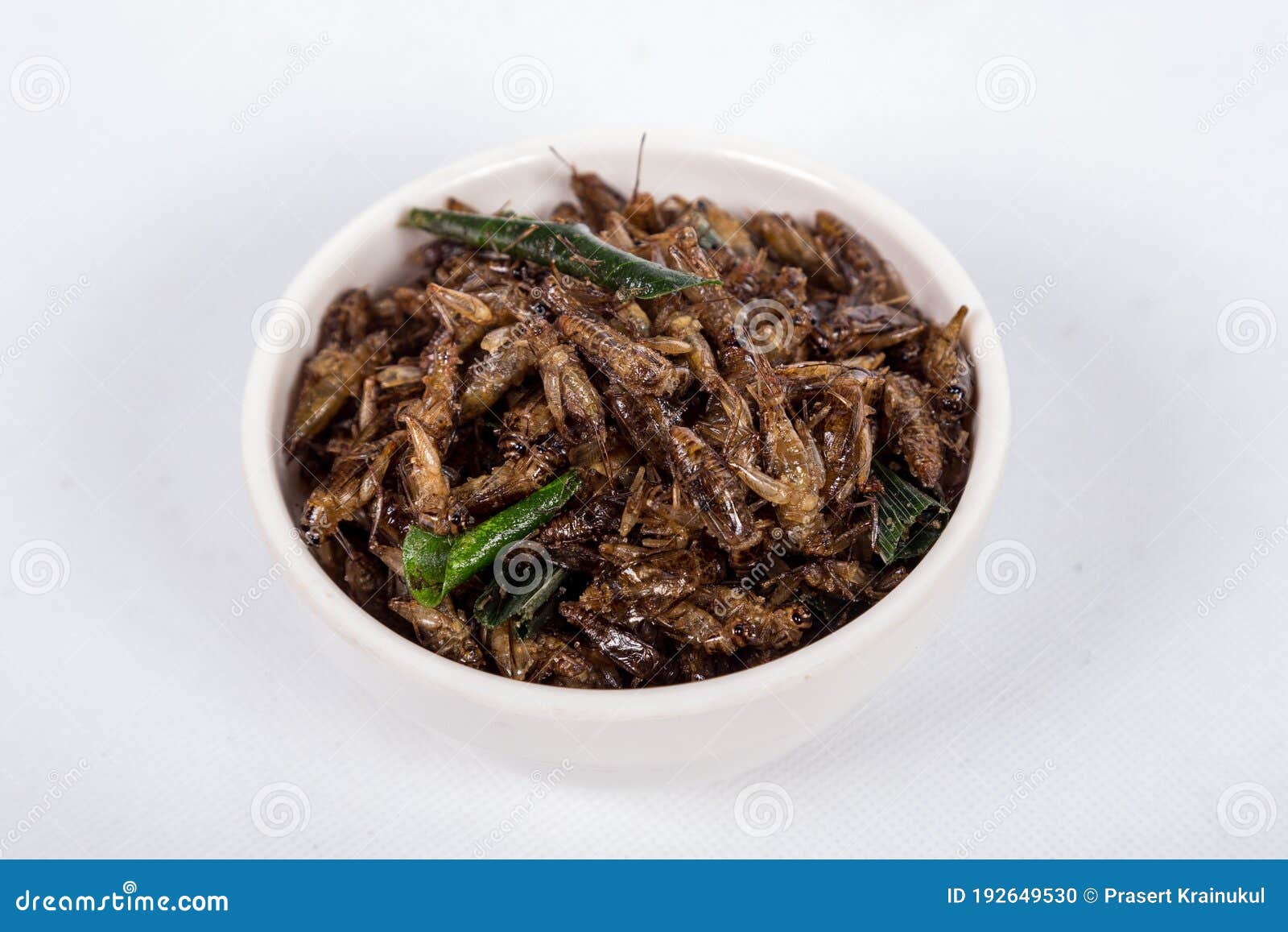 Fried Crickets Isolated on White Stock Photo - Image of market, white ...