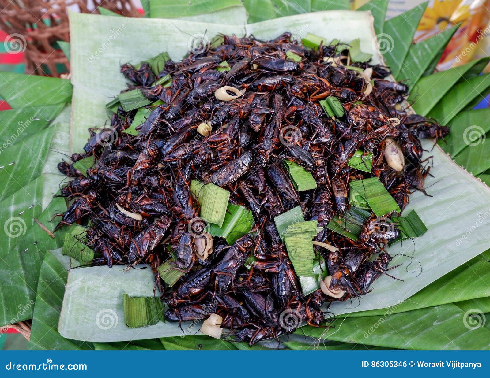 Fried crickets stock photo. Image of lunch, pile, gourmet - 86305346