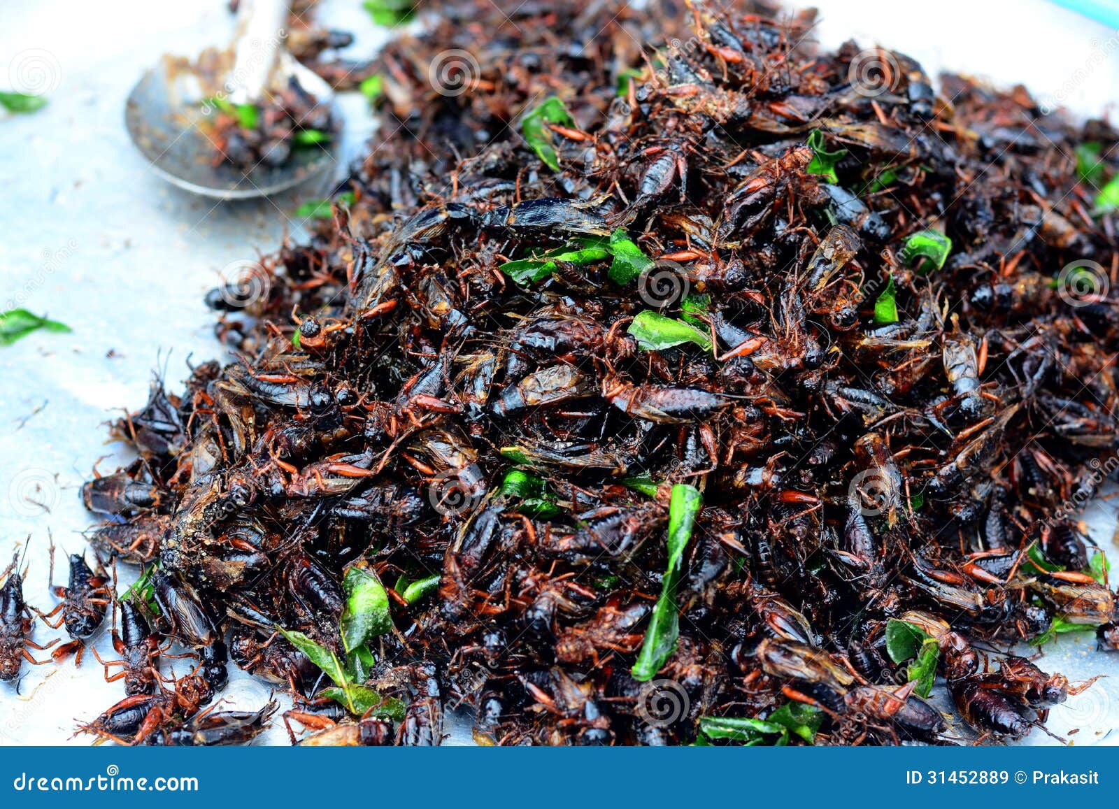 Fried Crickets at Market in Thailand Stock Image - Image of fried ...