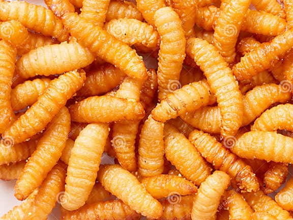 Fried Crispy Worms in Market Stock Photo - Image of cooked, brown ...