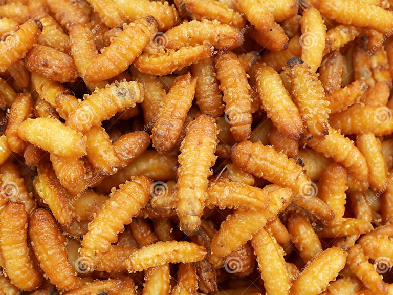 Fried Crispy Worms in Market Stock Image - Image of cuisine, appetizer ...