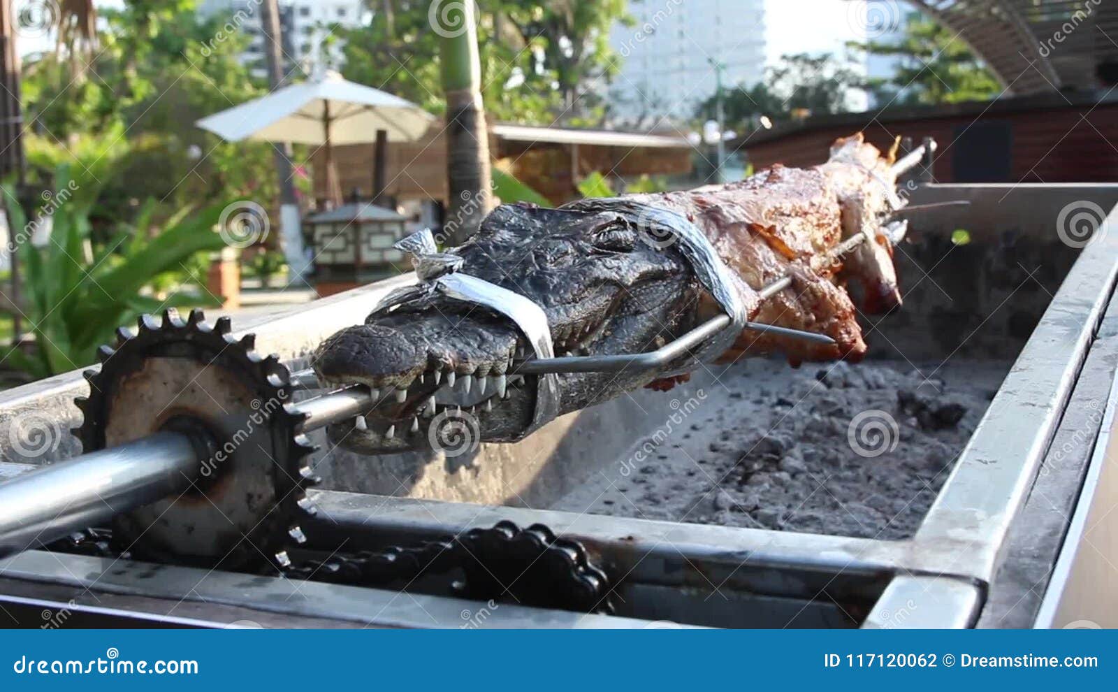 Fried Crocodile on the Grill Stock Footage - Video of alligator ...