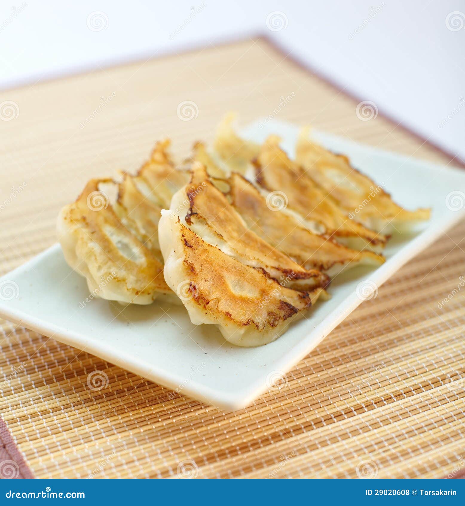 Fried dumplings stock photo. Image of manti, chopstick - 29020608