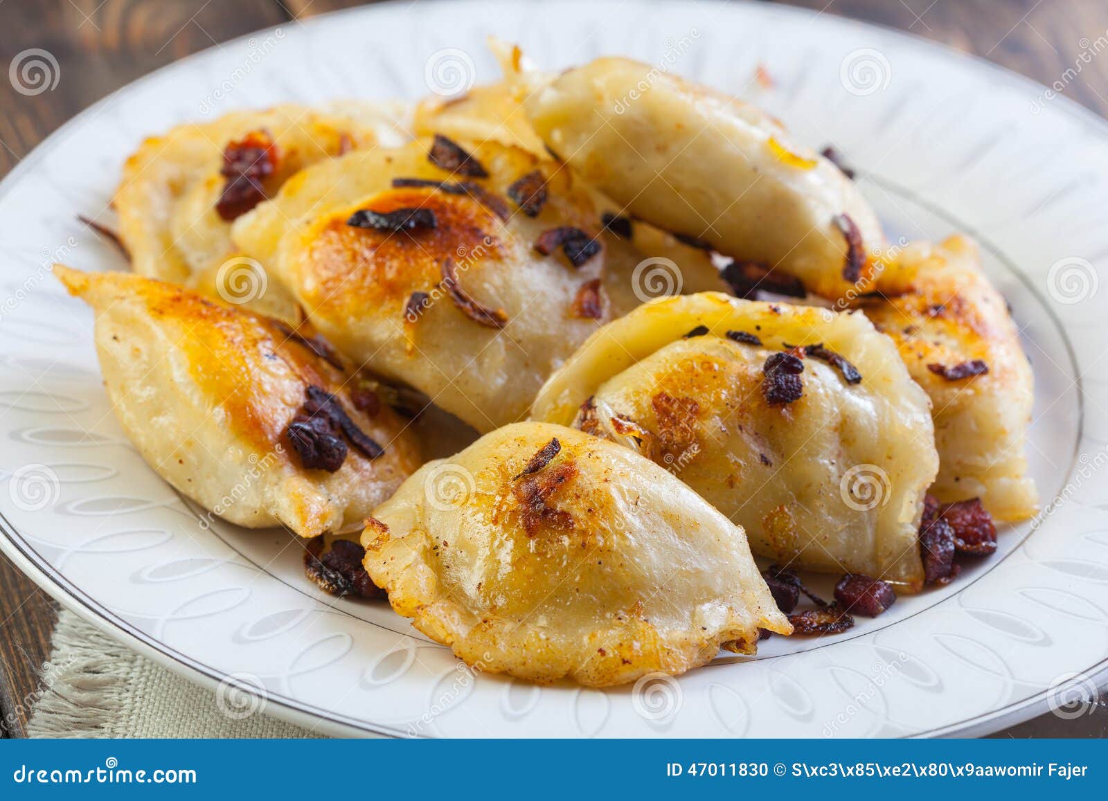 Fried dumplings with meat stock photo. Image of cooking - 47011830