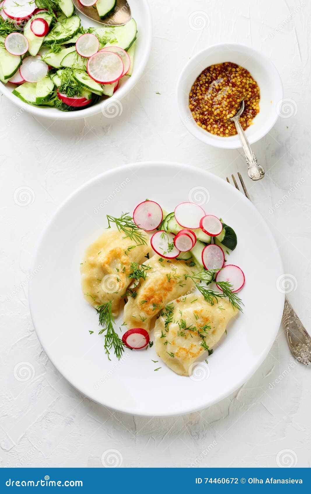 Fried dumplings with salad stock photo. Image of onion - 74460672