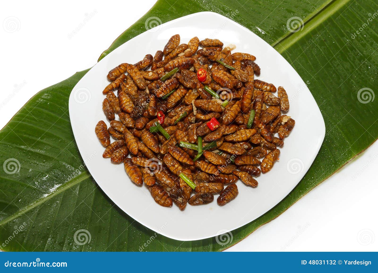 Fried Edible Worms, Alternative Proteins Source Food Stock Photo ...