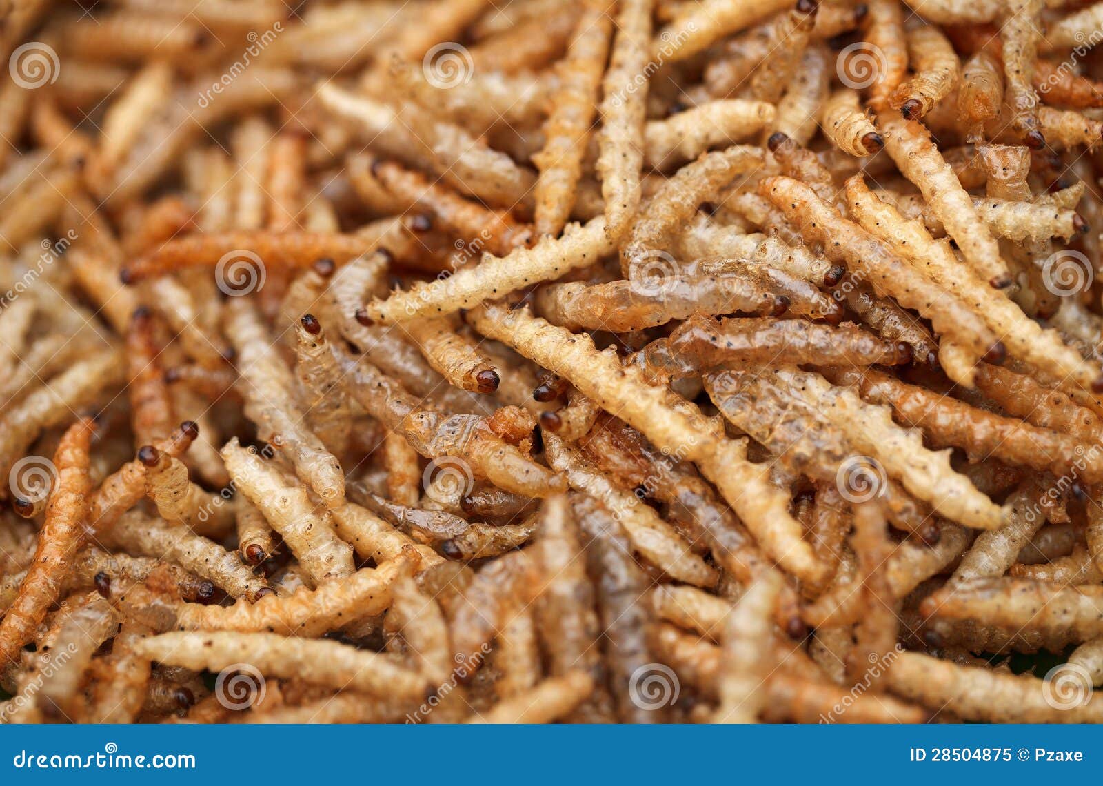 Fried Edible Worms, Alternative Proteins Source Food Stock Photo ...