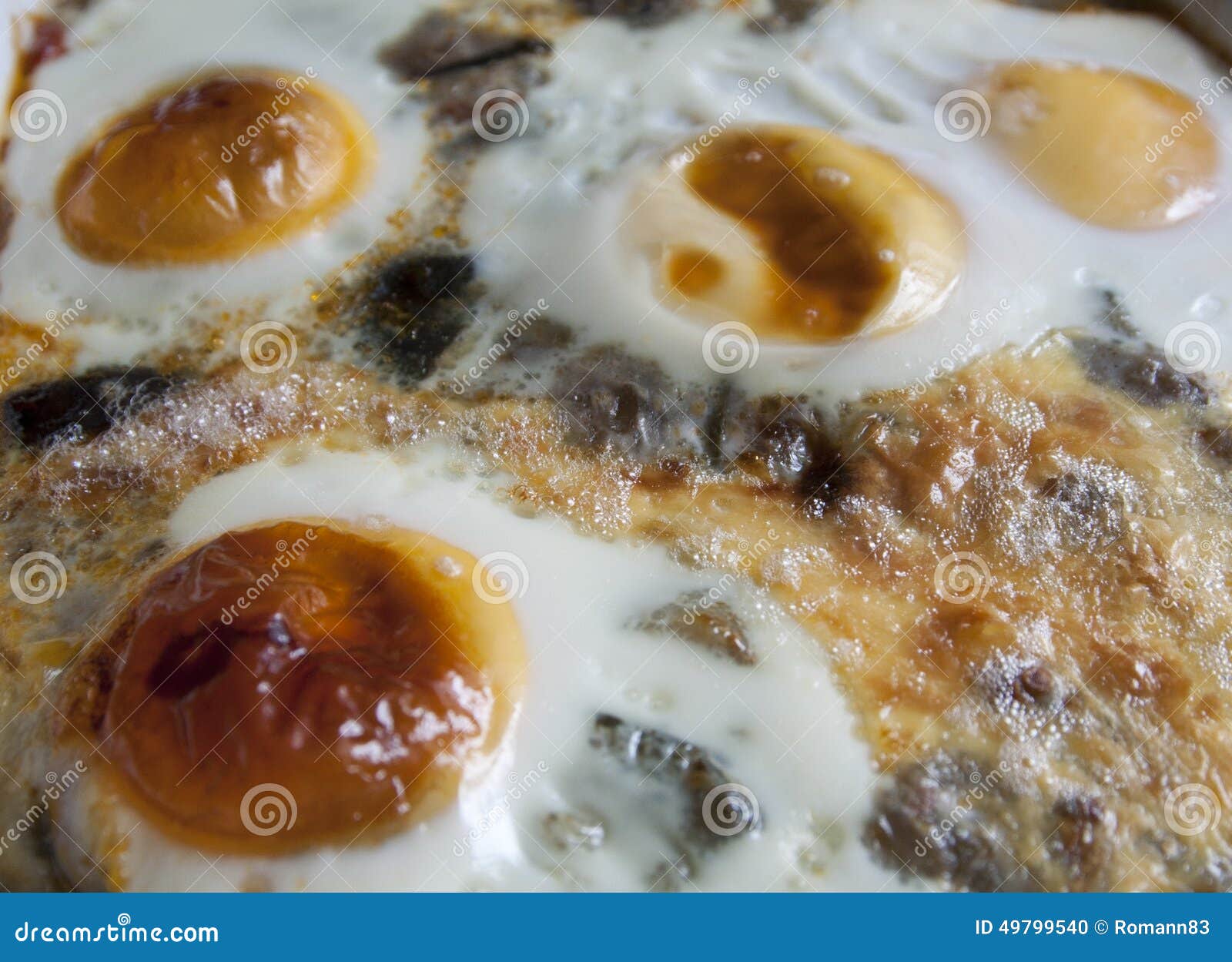 Fried egg stock photo. Image of fire, herbs, open, eggs - 49799540
