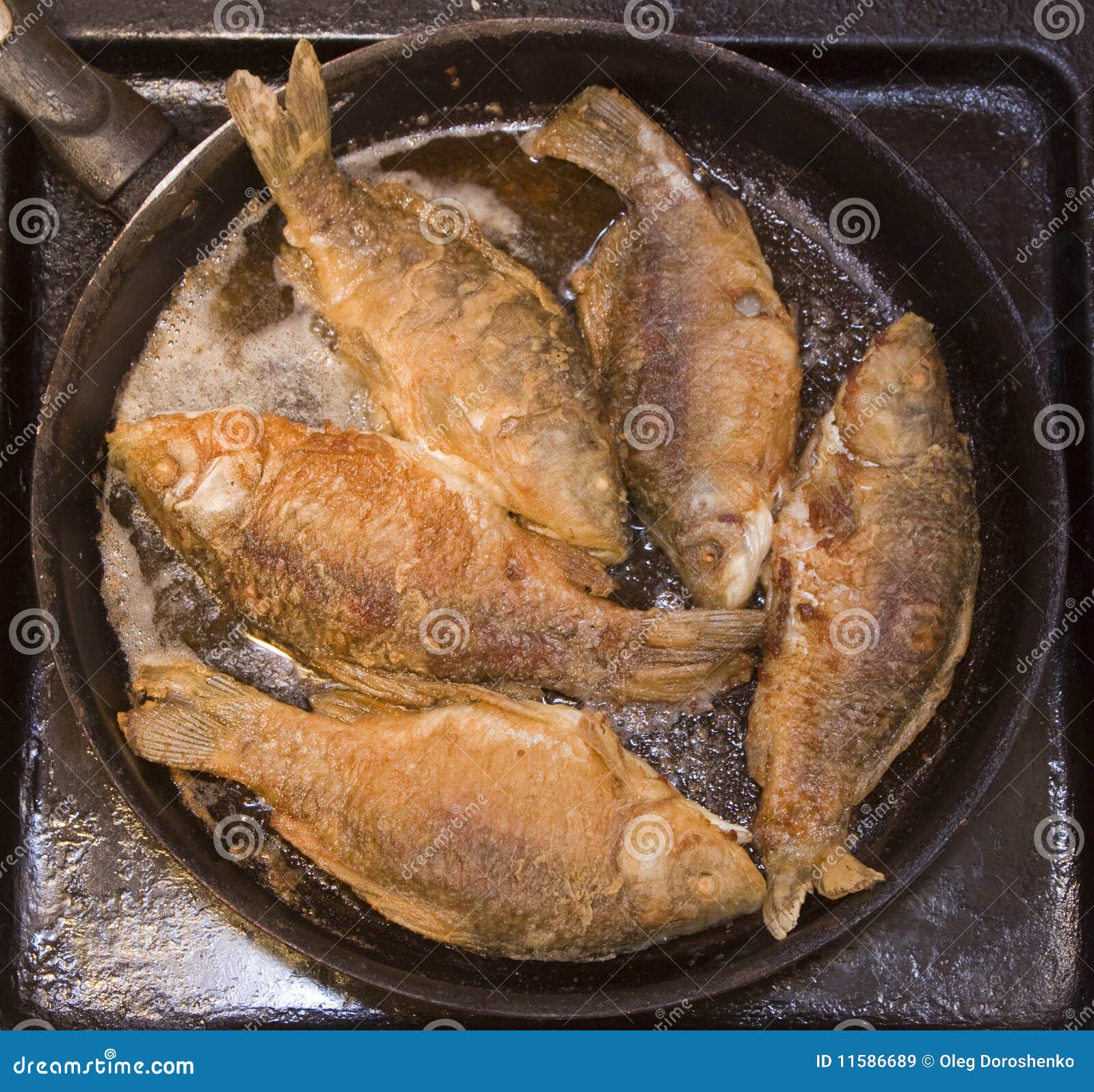 Fried fish stock image. Image of delicious, gourmet, juicy - 11586689