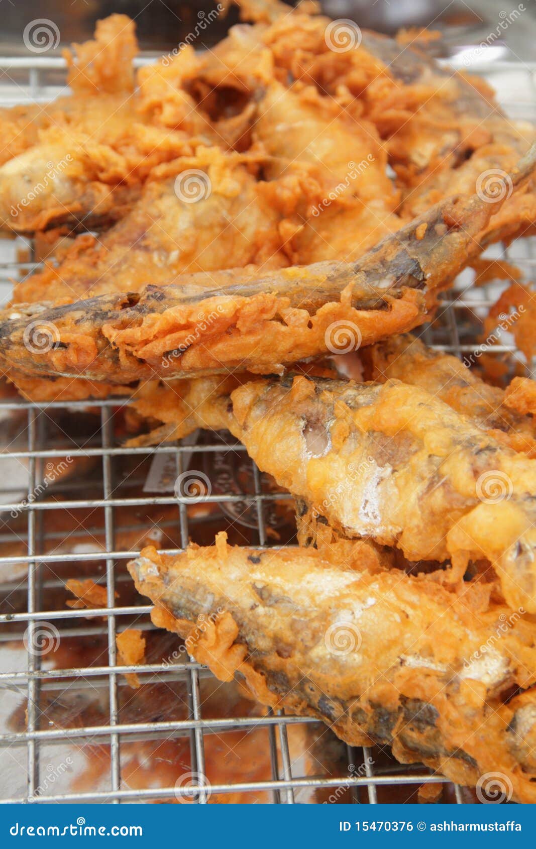 Fried Fish stock photo. Image of toasted, food, covered - 15470376