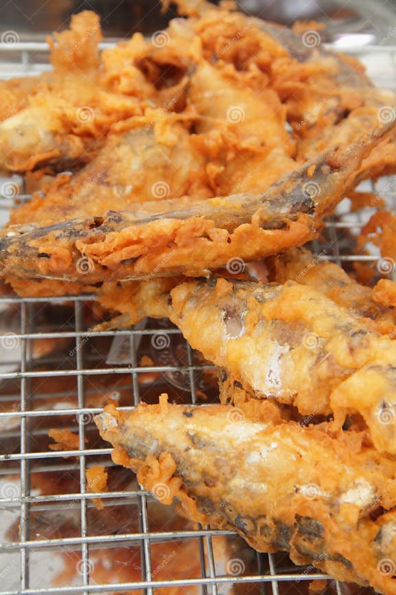 Fried Fish stock photo. Image of toasted, food, covered - 15470376