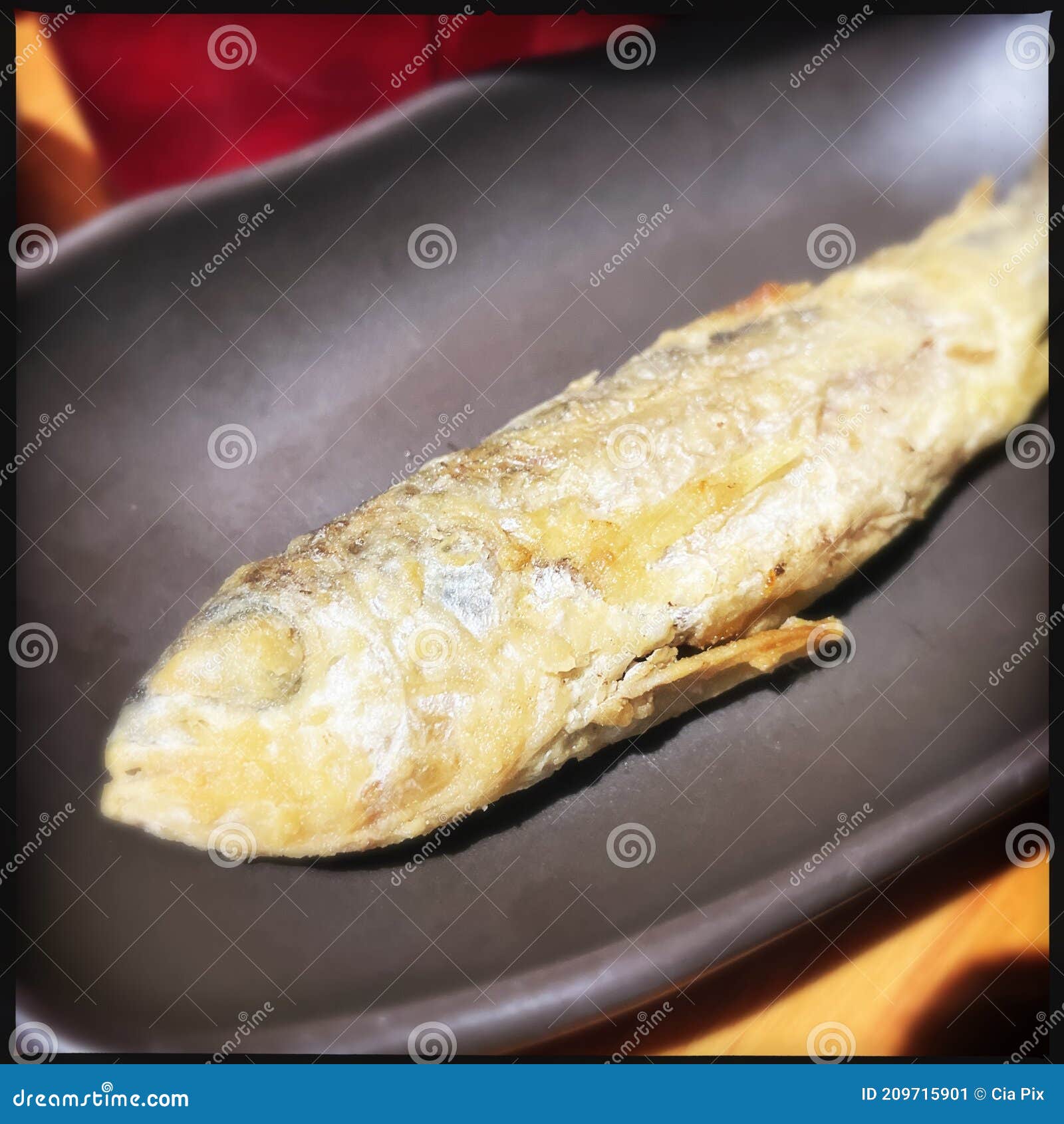 Fried fish appetizer stock image. Image of seafood, home - 209715901