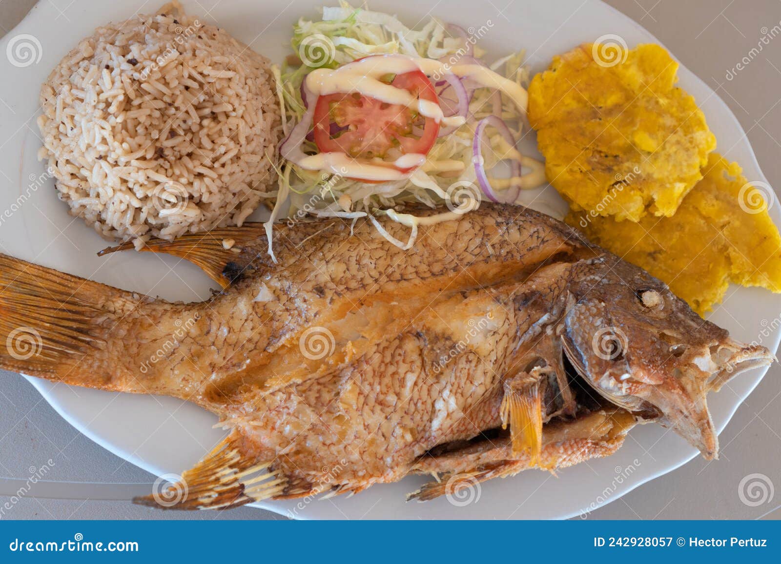 Fried Fish Dish in Colombia Stock Image - Image of american, menu ...