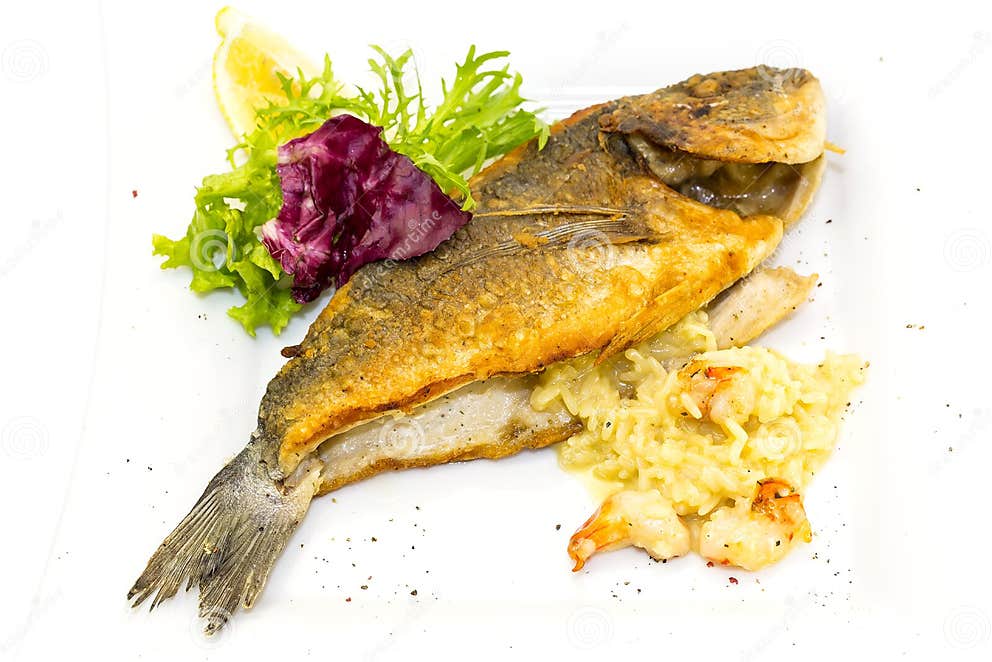 Fried fish dorado stock photo. Image of head, cooking - 34632886