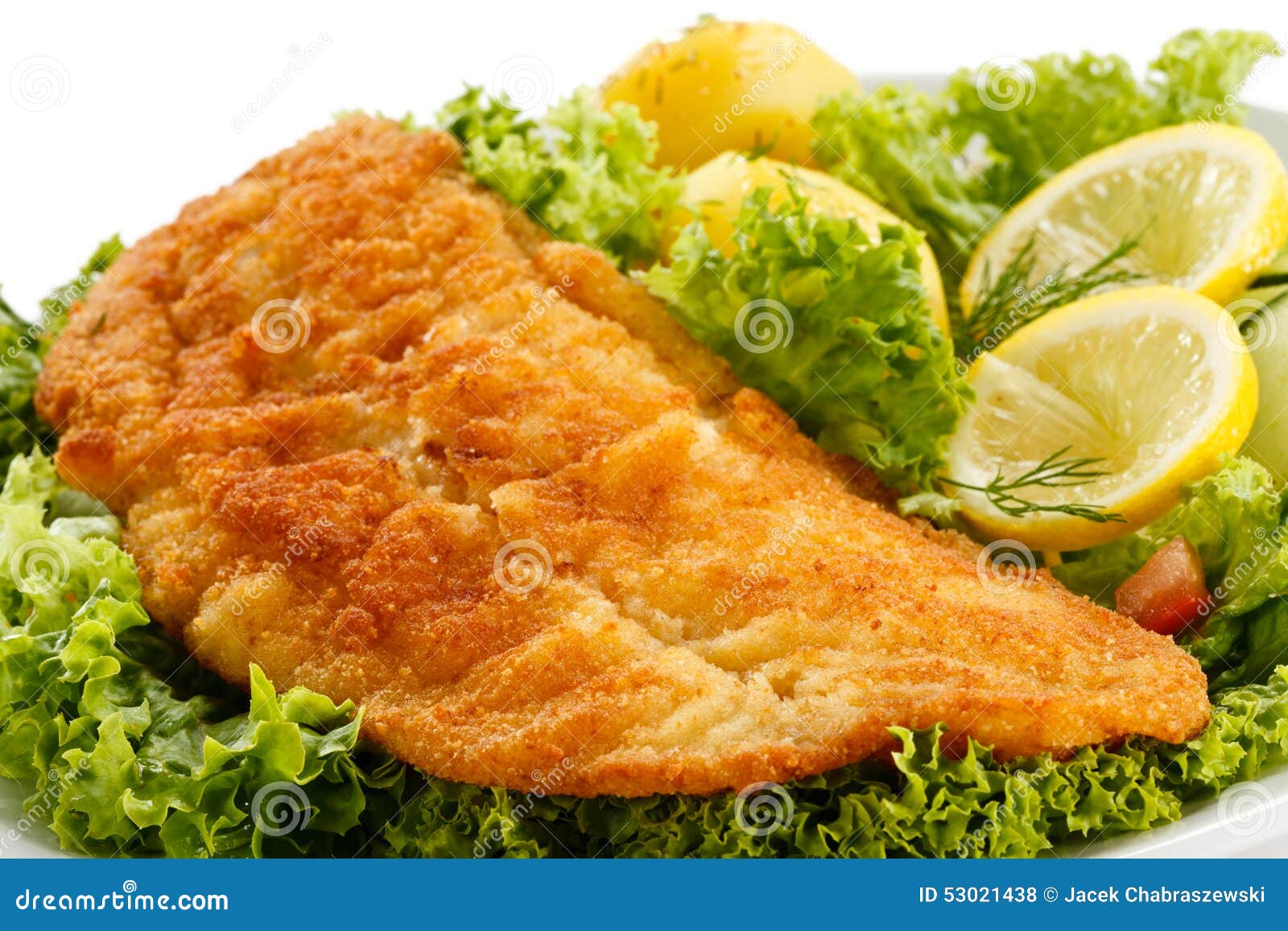 Fried fish fillet stock photo. Image of cucumber, lemon - 53021438