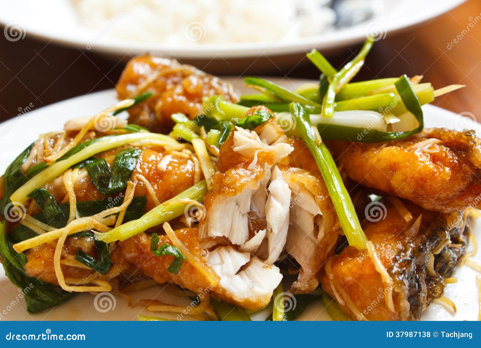 Fried Fish Fillet with Ginger. Stock Photo - Image of roasted, white ...