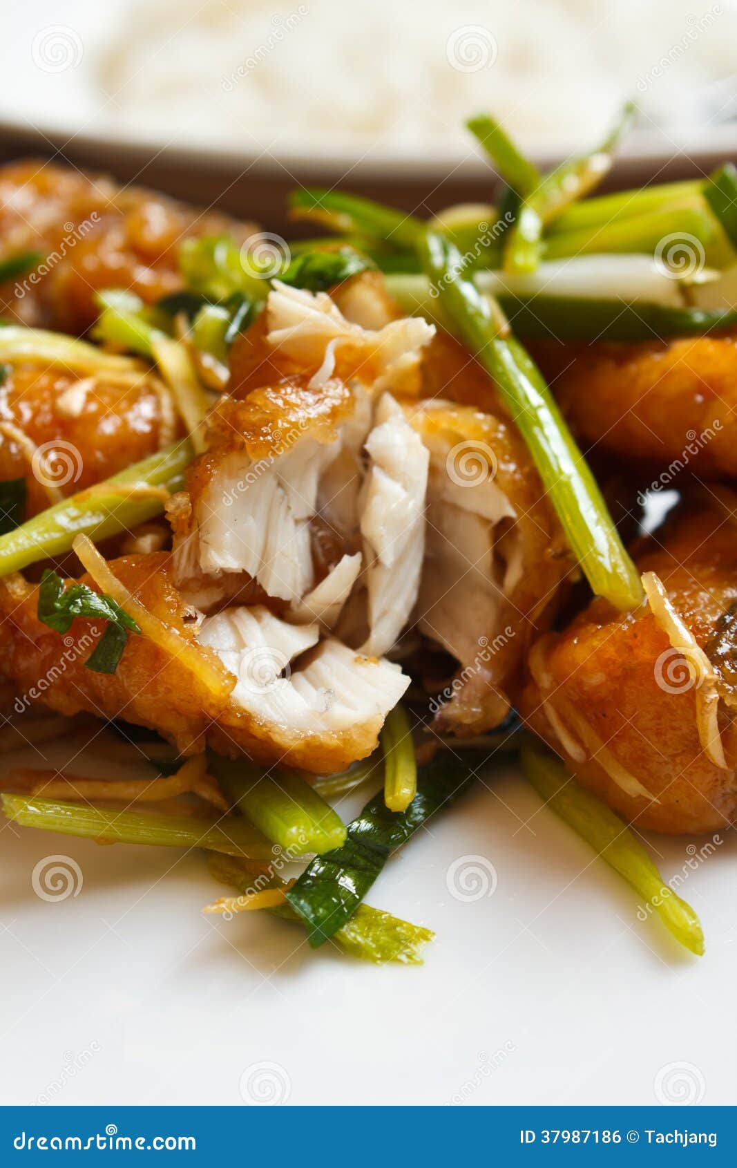 Fried Fish Fillet with Ginger. Stock Photo - Image of ginger, onion ...