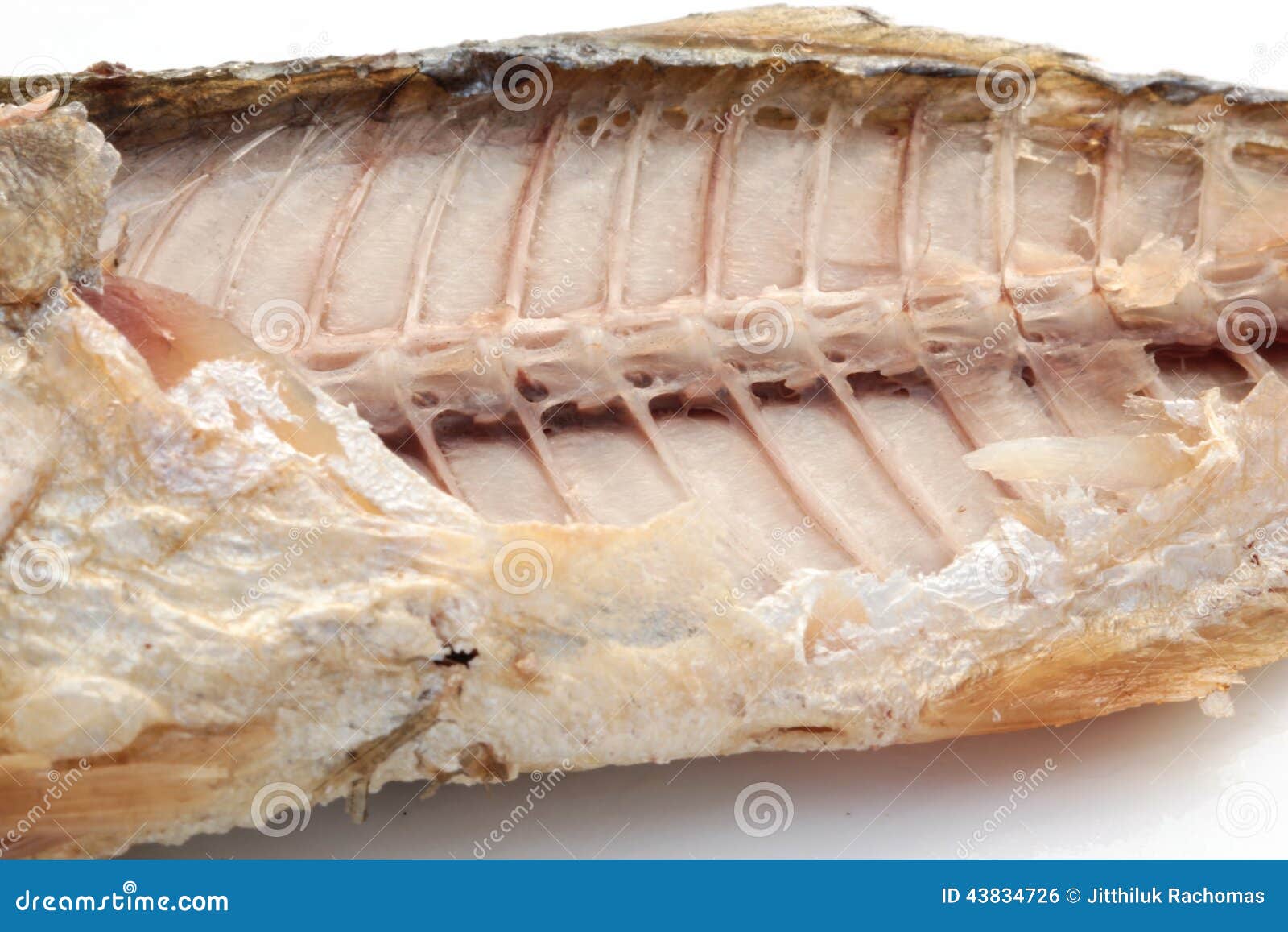 Fried Fish and Fishbone Thailand Mackerel Stock Photo - Image of fried ...
